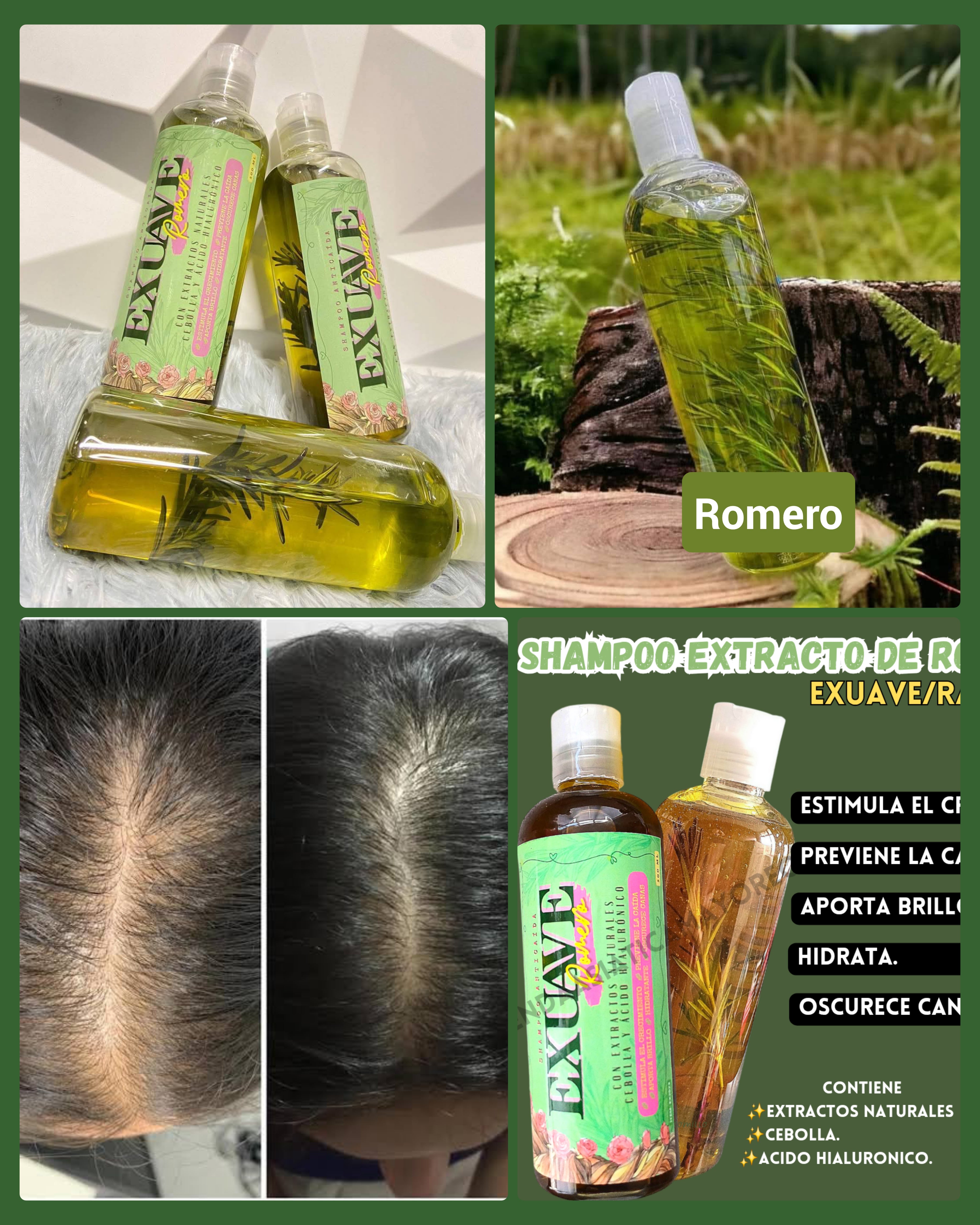 Shampoo Rapunzel-Exuave Anti-Caida con Extracto de Romero y Acido Hial ...